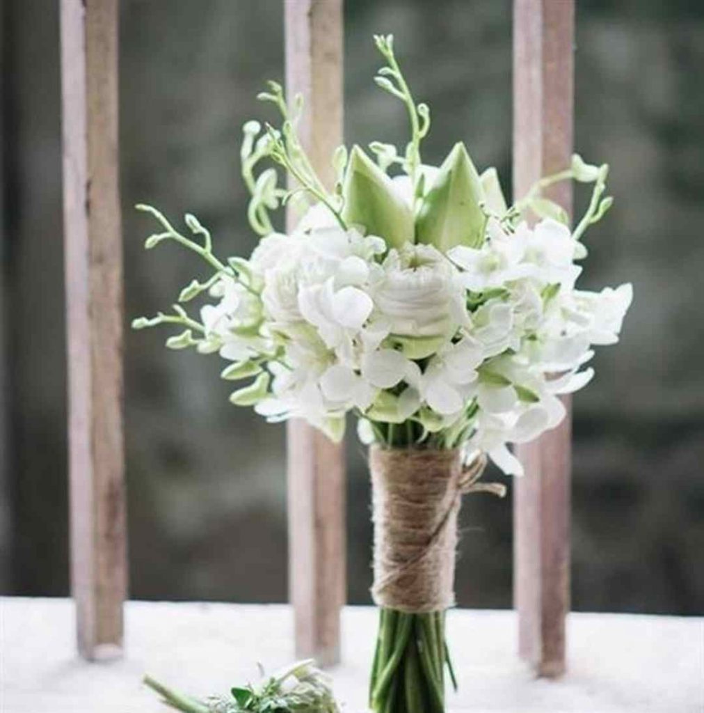 Hoa sen trắng - Loài hoa thanh tao, thuần khiết vô cùng